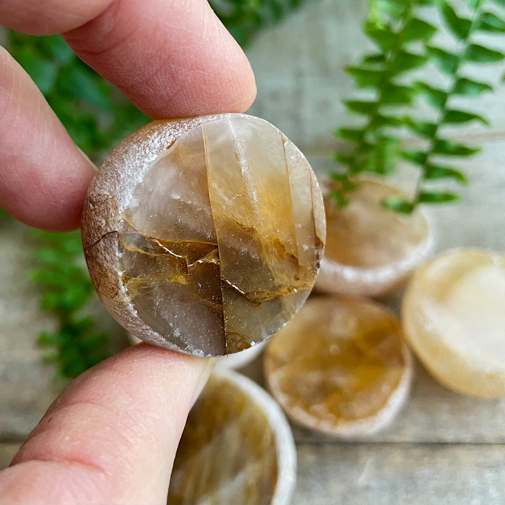 Golden Healer, Emu – Rockin' Energy